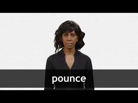 POUNCE definition and meaning | Collins English Dictionary