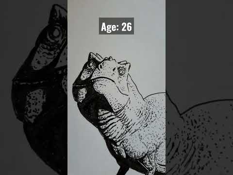 Evolution of my T-Rex Drawing
