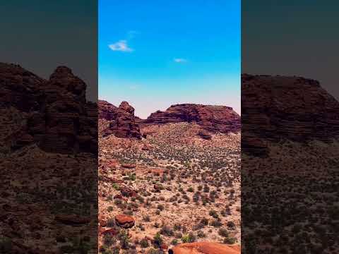 barren land
