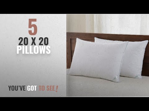 Top 10 20 X 20 Pillows [2018]: Set of 2 Hypoallergenic Down Alternative bed pillows - Hotel