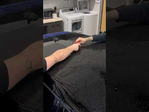 Blue โก๏ธ Black with PPF! | Which is better? ๐ค #automobile #carwrap #carwrapping #ppf #shorts