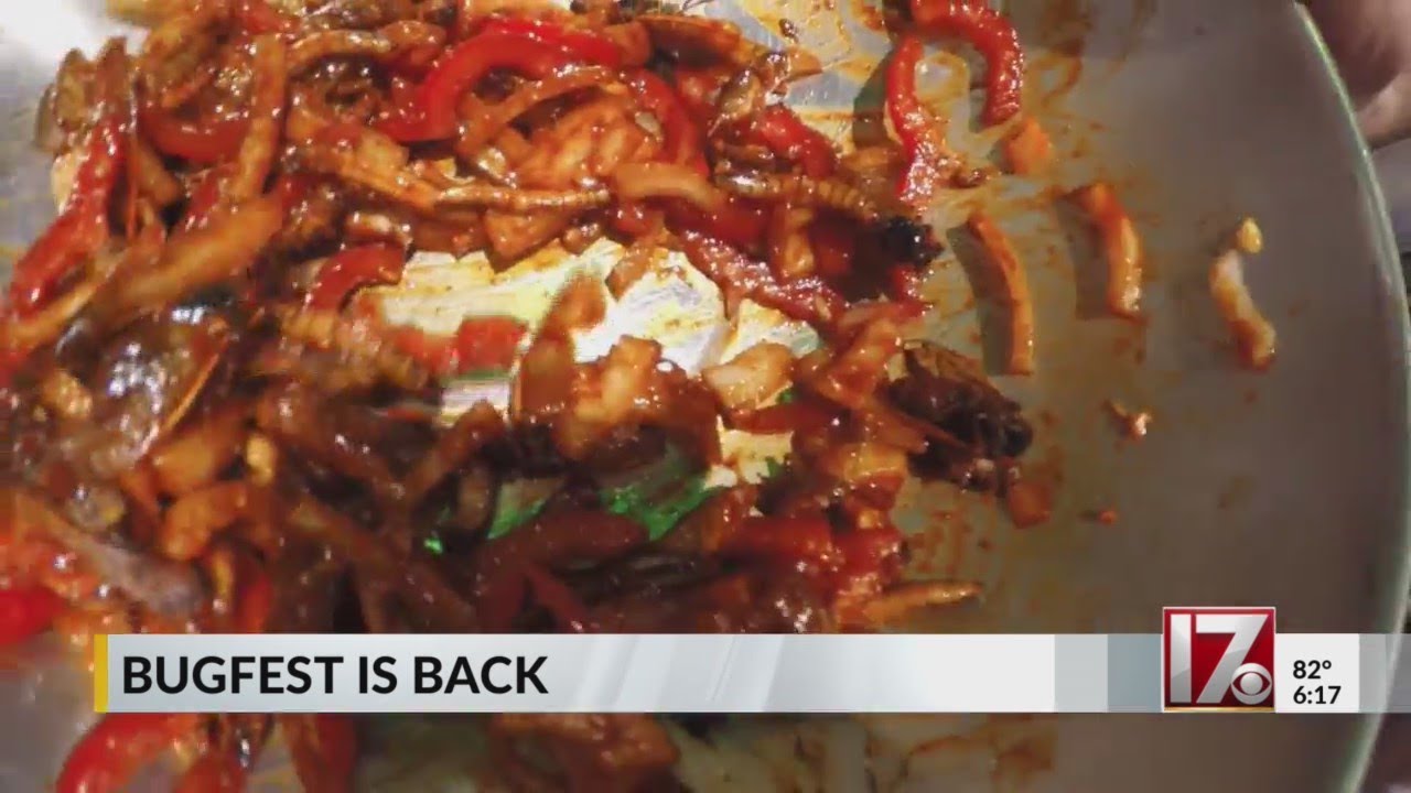 NC's BugFest is back and buggier than ever at the Museum of Natural Sciences