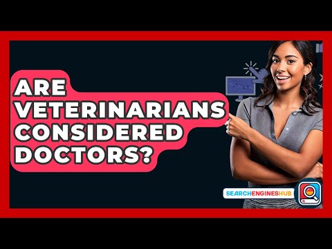 Are Veterinarians Considered Doctors? - SearchEnginesHub.com