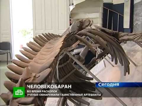 ΠΡΩΤΗ ΠΑΝΕΛΛΗΝΙΑ ΑΠΟΚΛΕΙΣΤΙΚΗ ΑΝΑΦΟΡΑ!!!! ΒΡΕΘΗΚΕ ΣΚΕΛΕΤΟΣ ΣΑΤΥΡΟΥ ΚΑΙ ...