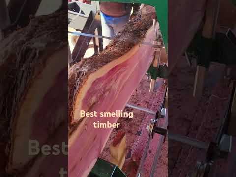 The best smelling timber on the planet! Eastern red cedar!