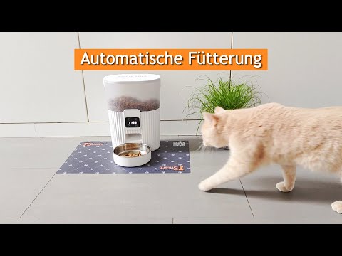 Anleitung Katzenfutterautomat automatischer Futterspender 2023