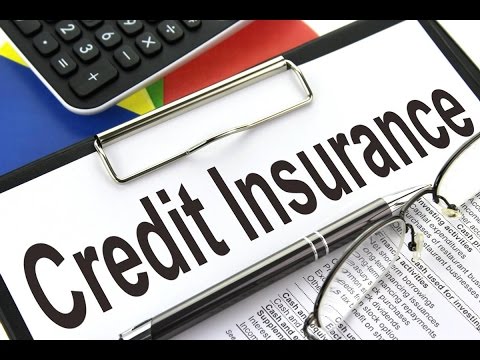 Auto line Insurance - Car Insurance Northern Ireland - Grateful