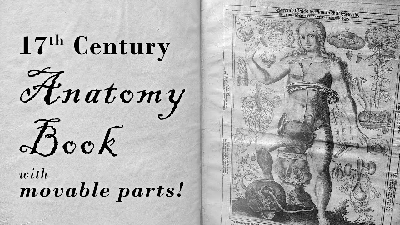 Flipping Through the Pages of an Educational Anatomy Book from 1661 | From the Stacks