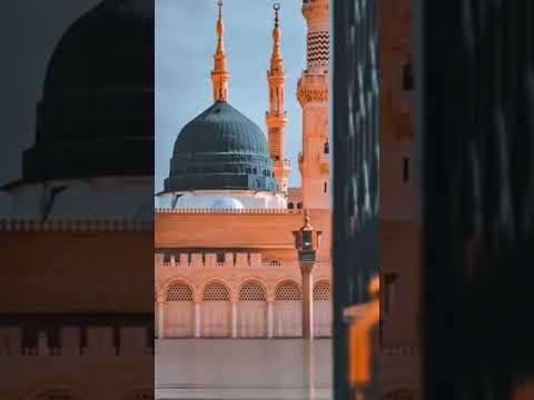 Qalbi Fil Madinah