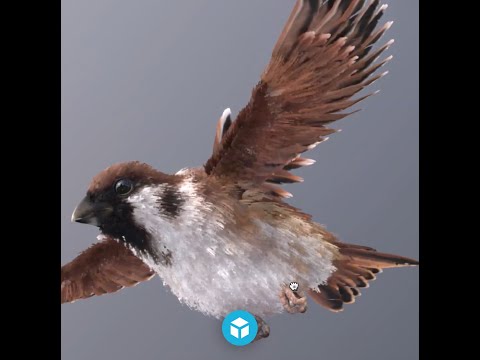 Sketchfab Weekly Top 10 3D models 2022 Week 4