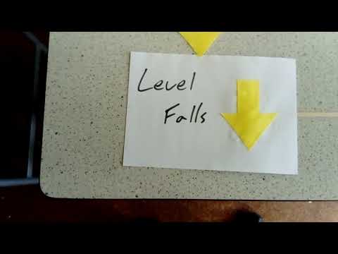 GCSE Biology Negative Feedback & Thyroxine