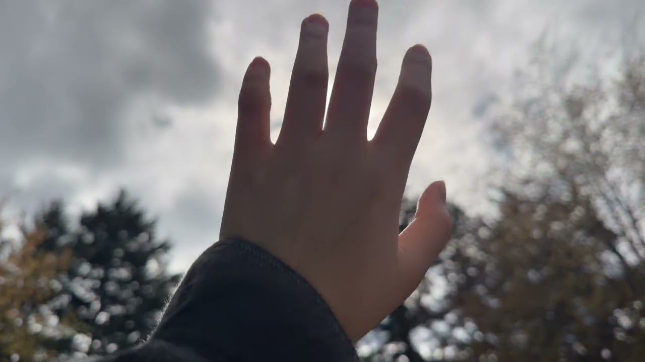 Some Things Artists Might Feel