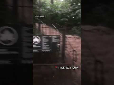 Wild flooding by Central Library in Mt Prospect Park in Brooklyn #shorts #flooding