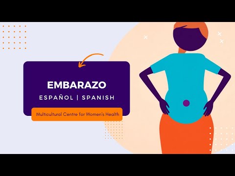 Embarazo | Pregnancy - Spanish