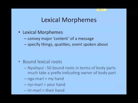 Morphology.mov