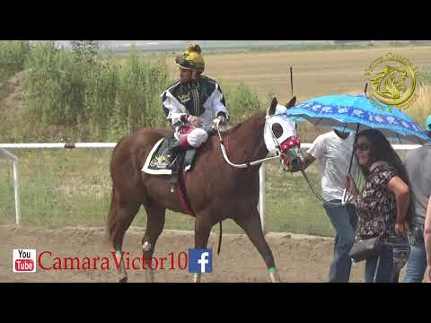 La Leonsita Vs El Huerfanito 250