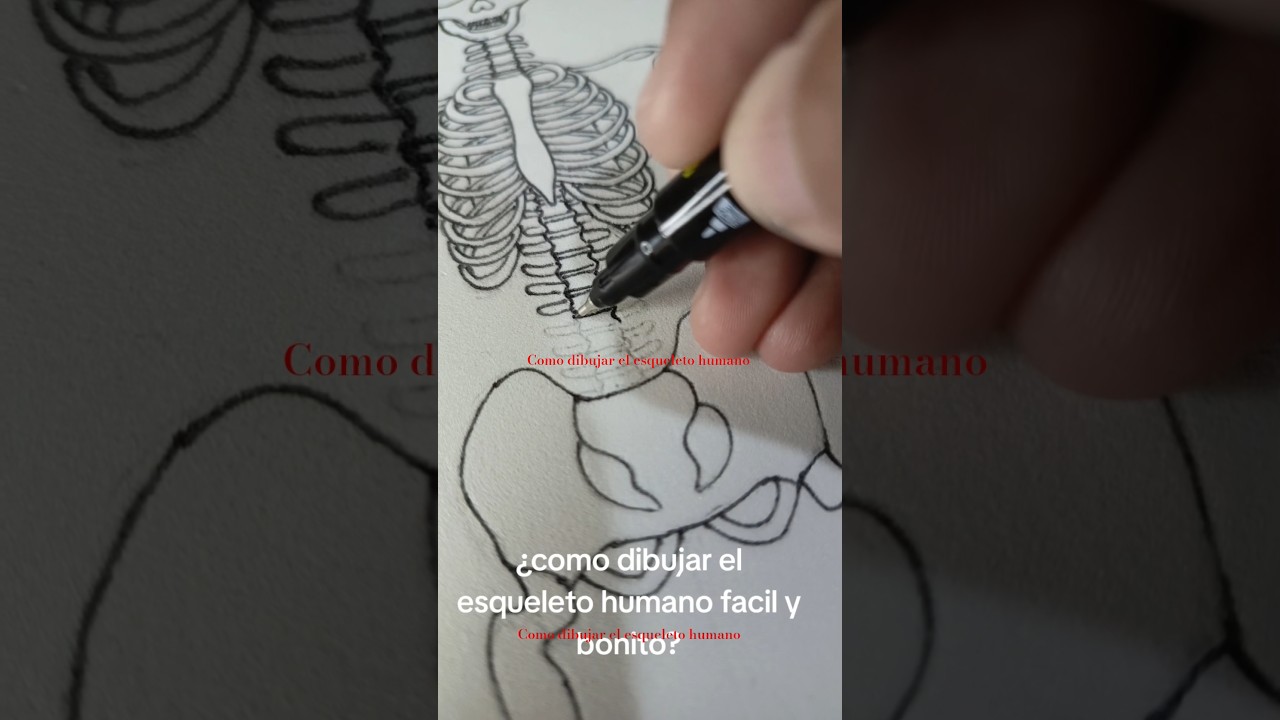 ¿Cómo Dibujar el Esqueleto Humano? (fácil y bonito) 1🩻🦴