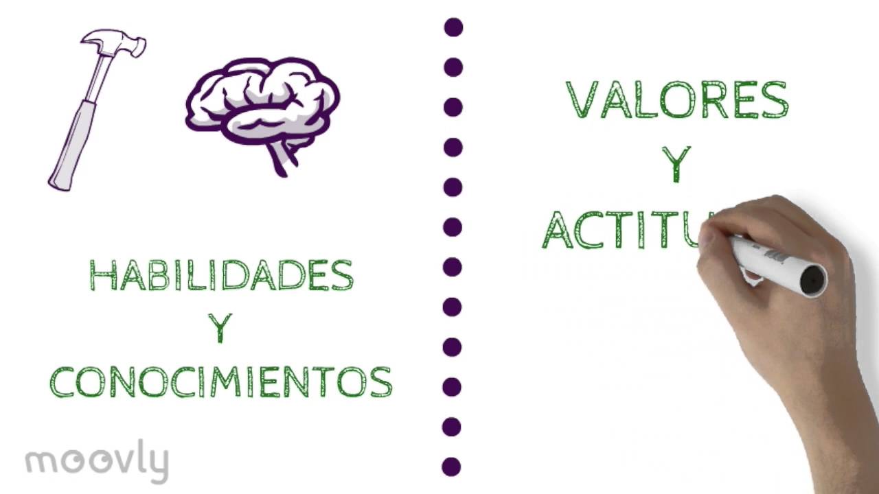 ¿Qué es Capacitación?  CIP