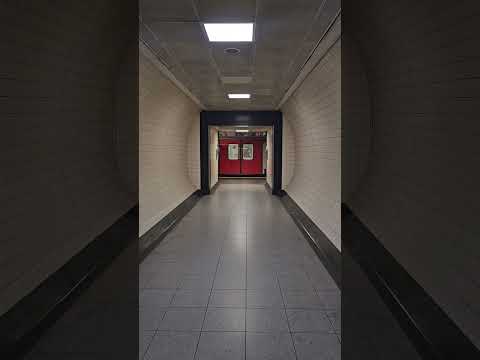 TFL Corridor #tfl #londonunderground #train #shorts