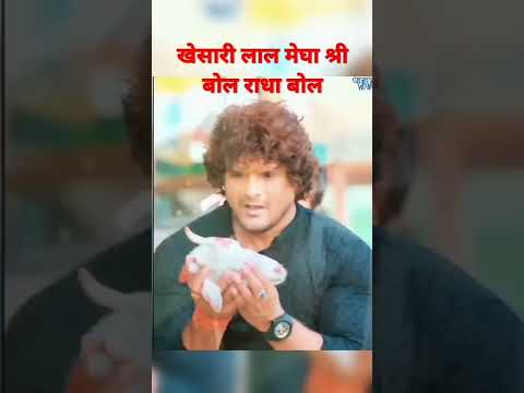 bol Radha bol khesari Lal Yadav movie trailer ,tuntun Yadav,megha Shree