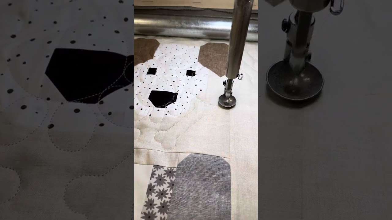 Allover quilting dog bones design