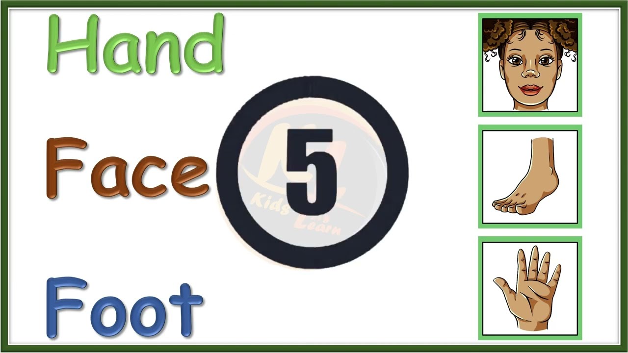 Parts of body name worksheets | Worksheet for kids | Worksheet