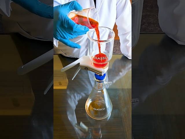 Laboratory Instruments - All Glass Filter Holder Manufacturer from Ambala