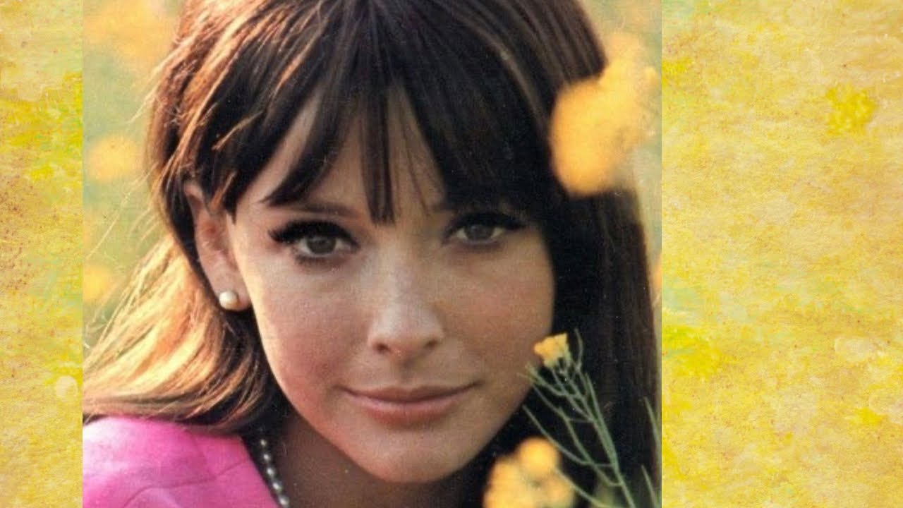 13 Sexy Photos of Brenda Scott