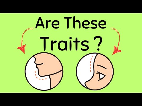 Traits in Genetics