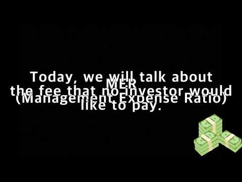 [1min Finance] What is MER??