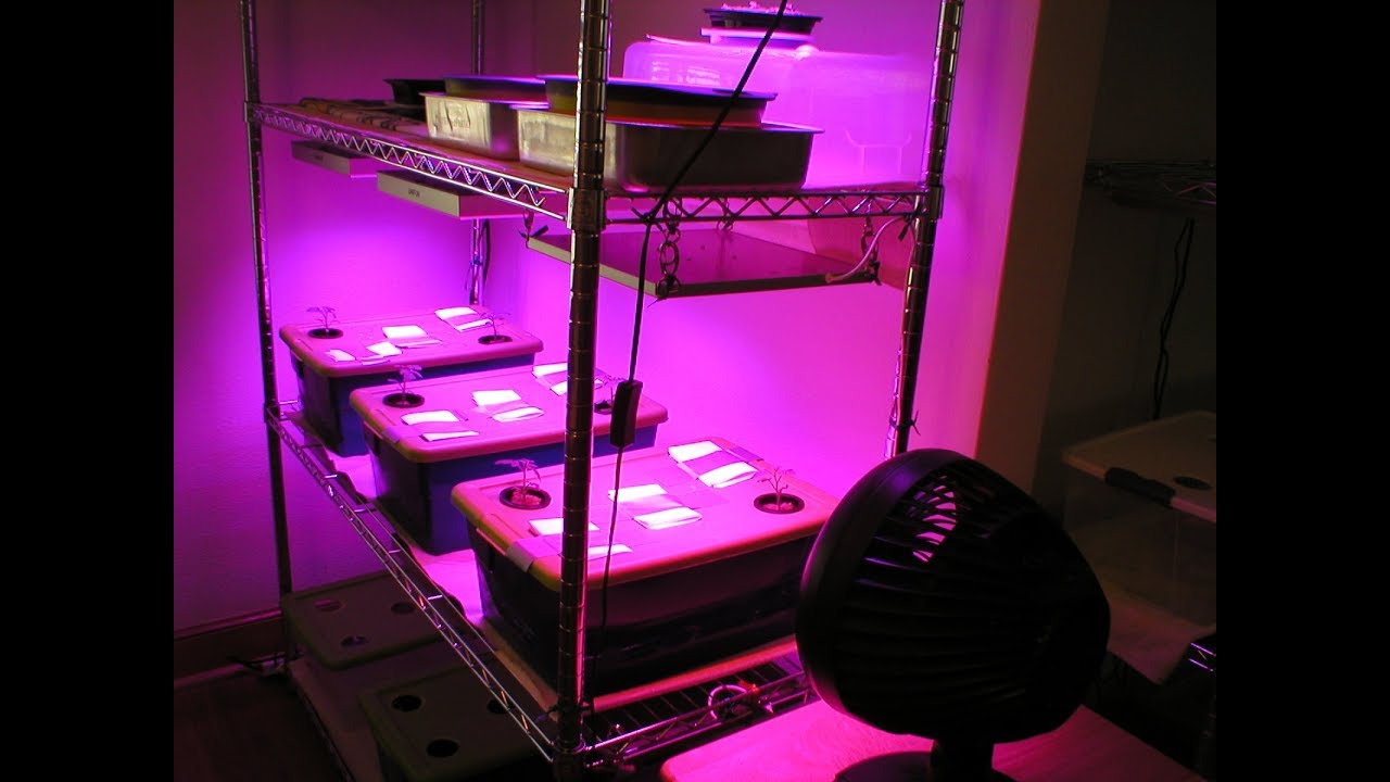 Hydroponics - About Nutrient Solutions