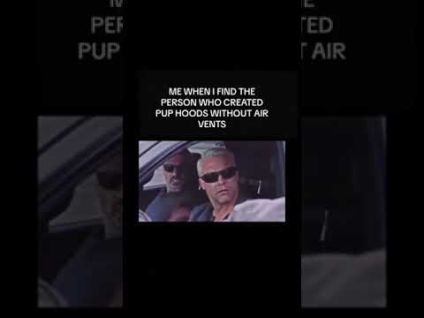 Short: Why were the pup hoods designed without any type of air vents?