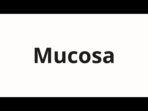 How to pronounce Mucosa