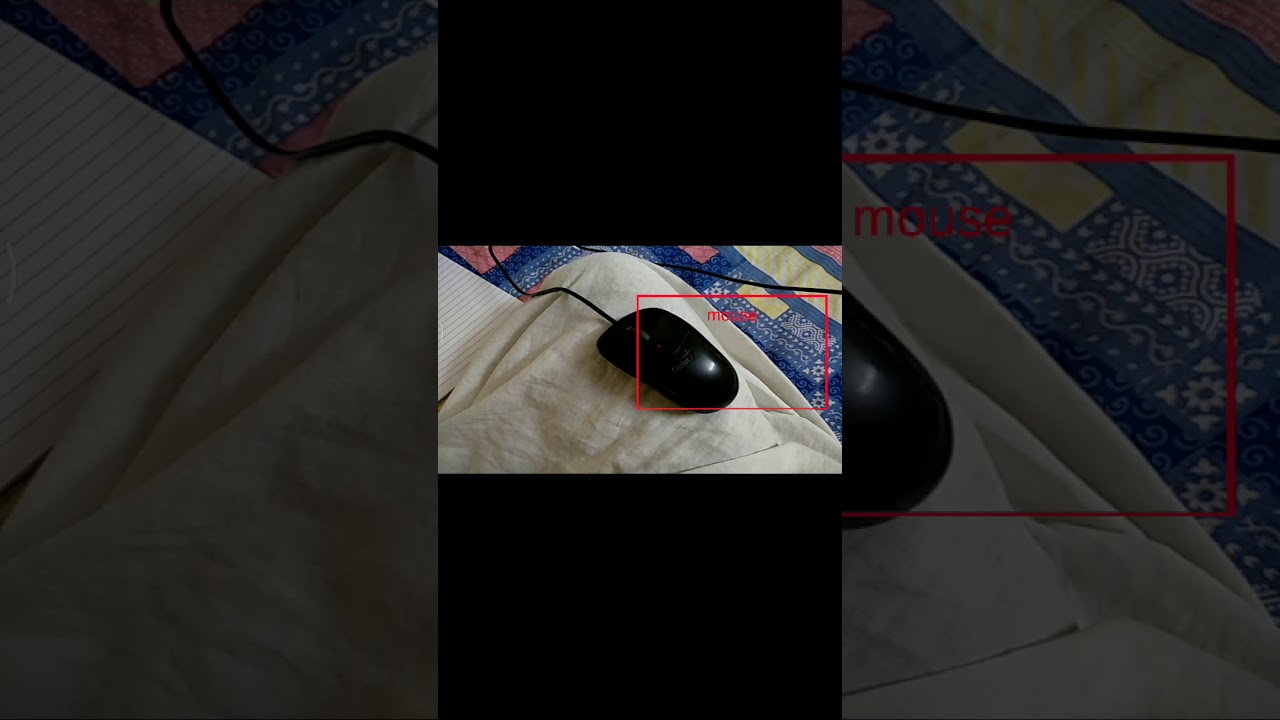 Object Detection for Visually Impaired