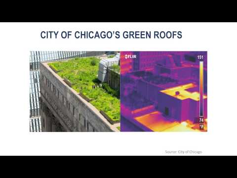 What Defines Climate Resilience? - Sara Hoverter