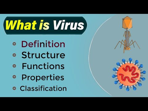 Human Viruses Explained: Structure, Classification, and Functions of Viruses