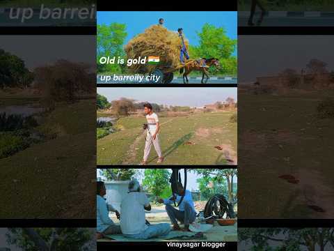 Indian blogger old is gold 🇮🇳#shorts #trending #blog #blogger #shortvideo #youtubeshorts #viral