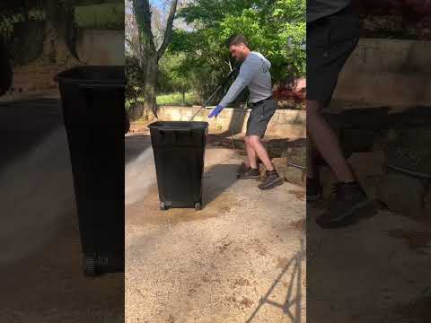 Start A Trash Bin Cleaning Business Clean Trash Cans