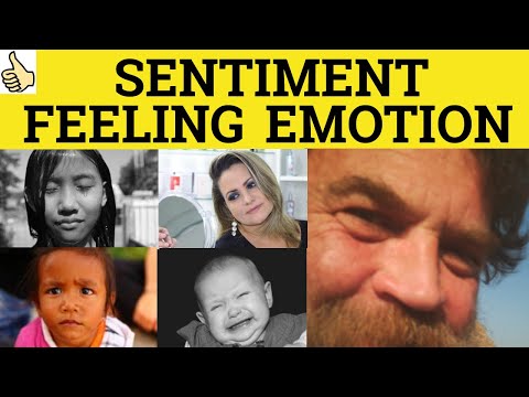 🔵 Sentiment Emotion Feeling - Sentiment Meaning - Emotion Examples -- Feeling in a Sentence