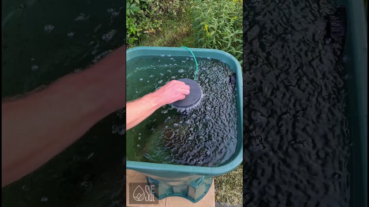 Pflanzeninsel in Regentonne - Reinigung v3
