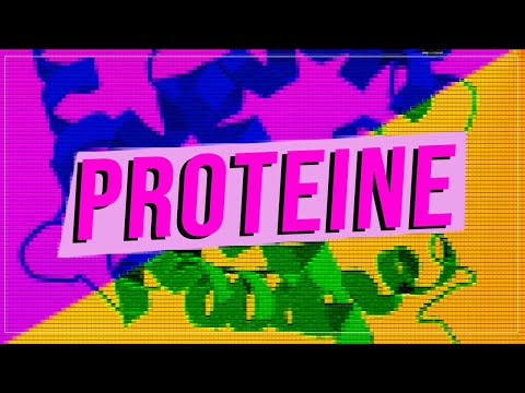 Biomolecole: LE PROTEINE | Pillole di Scienza