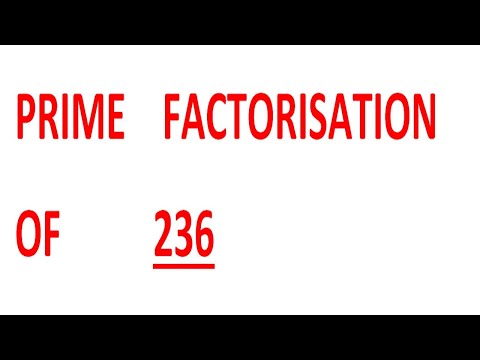 PRIME FACTORISATION OF 236