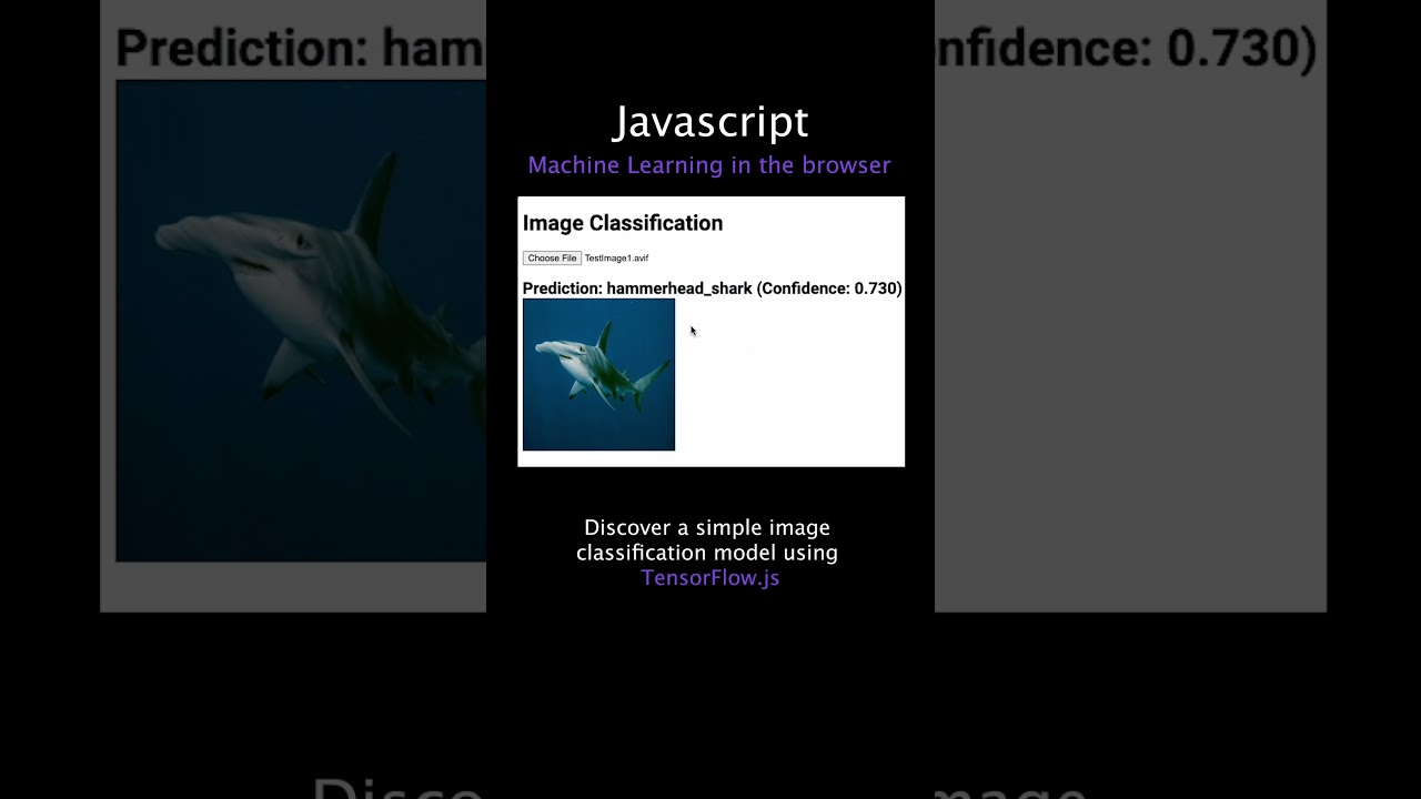 Image Classification with TensorFlow.js (JavaScript)
