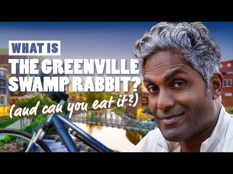 Exploring the Greenville, South Carolina Food Scene by Bike - The Road Less Eaten