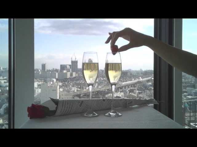 Sony Xperia GX officially announced, the new Sony flagship has 13MP ...