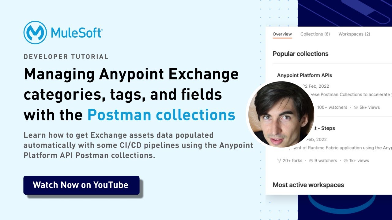 Managing Anypoint Exchange categories, tags, and fields | Anypoint Platform APIs Postman collections