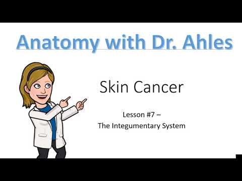Lesson #7 - Skin Cancer