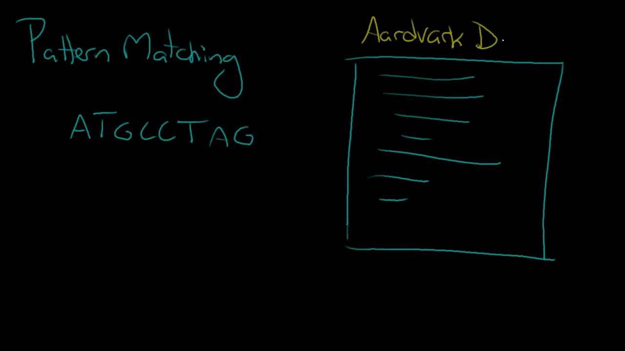 Python Programming Series (Algorithmic Thinking 2): Algorithms in computer science