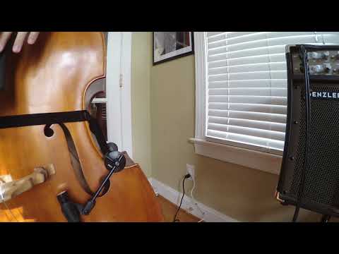 ExplorAUDIO H-Clamp Light Upright and Cello Mic Mount | Reverb