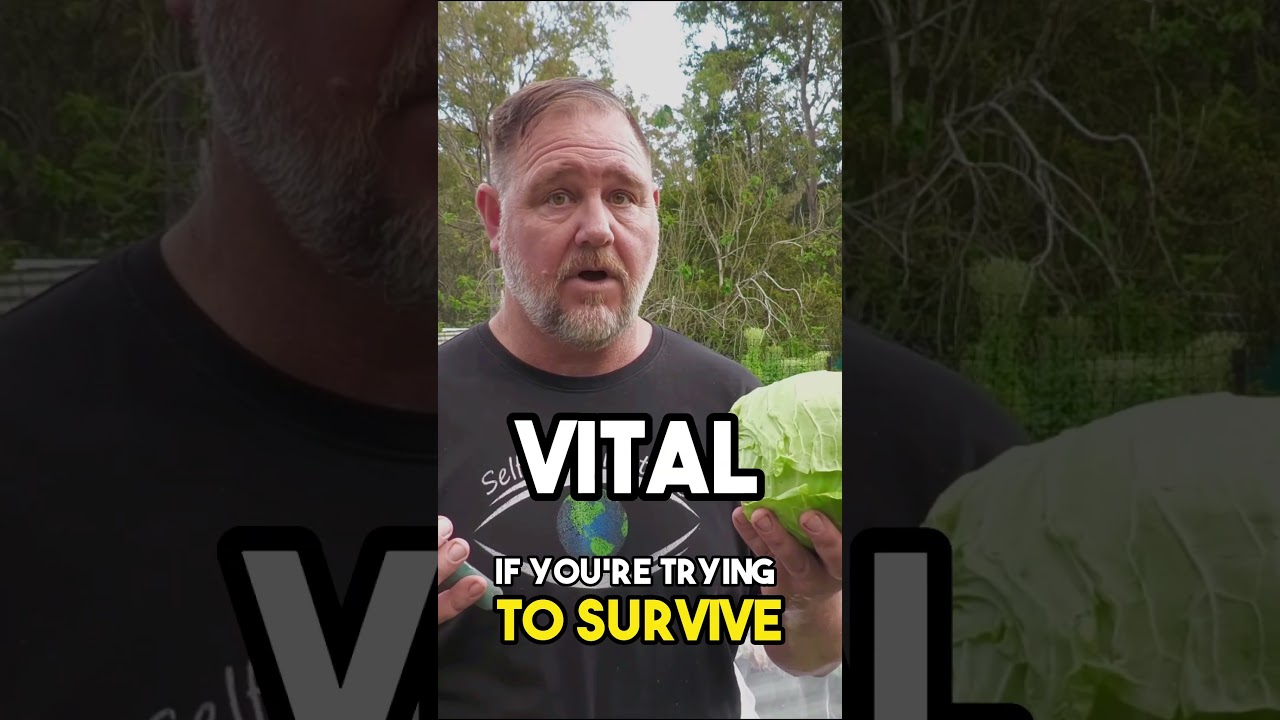 6 TOP Crops to Grow to Save You From STARVING!